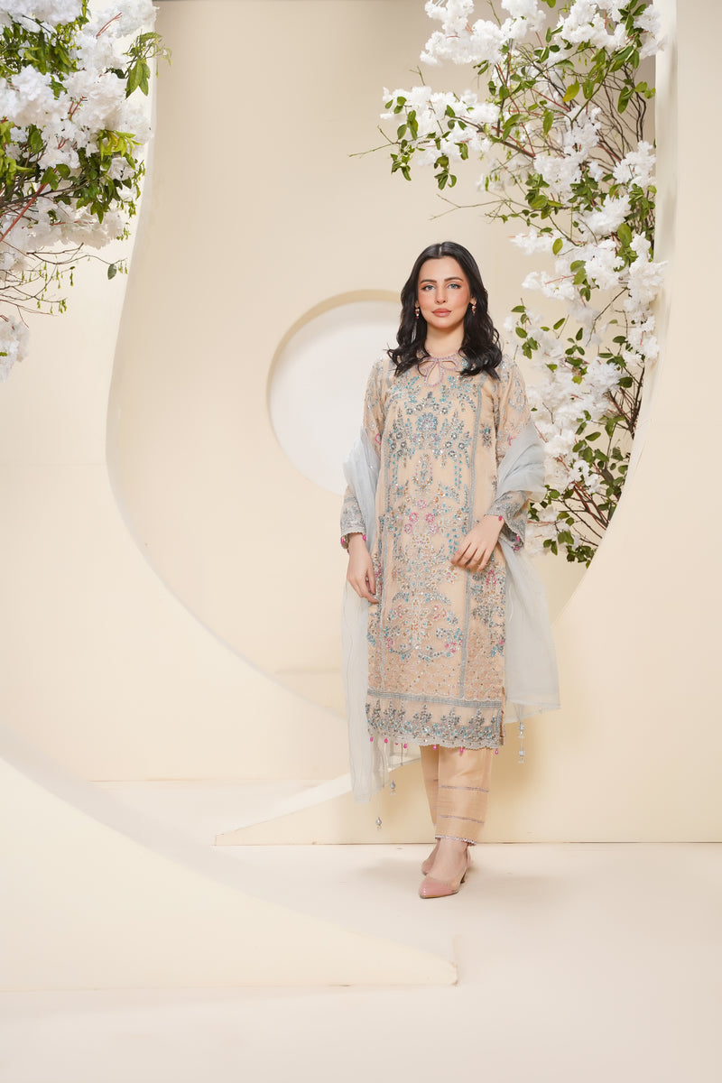Tehwar - Luxury Organza Outfit - Festive Collection - Ready to Wear ...